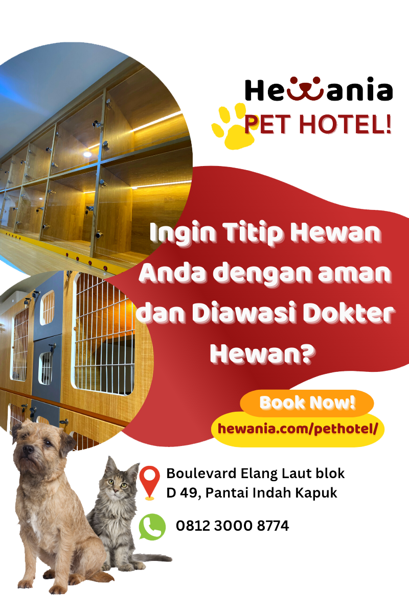 Booking Pet Hotel - Hewania