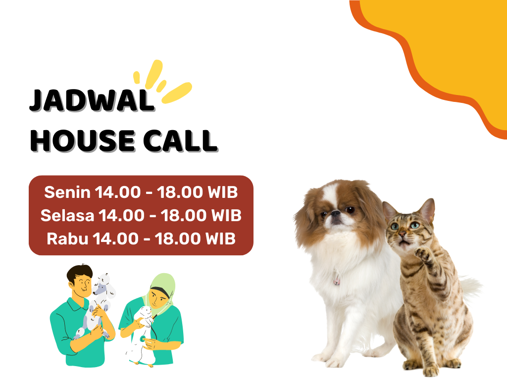Jasa Dokter Hewan Panggilan - Hewania
